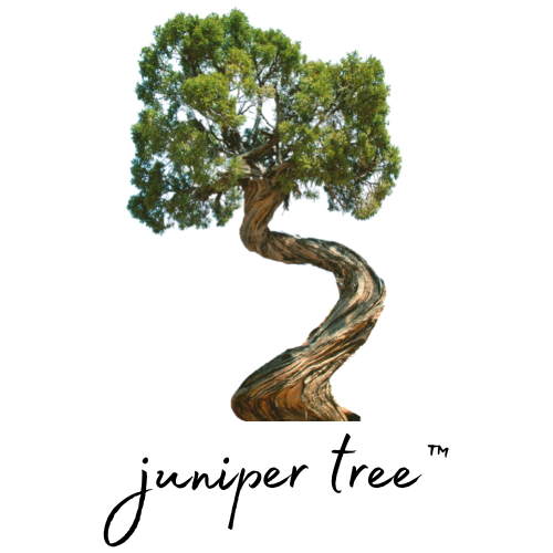 Why Play Matters – Juniper Tree Learning Materials Inc.